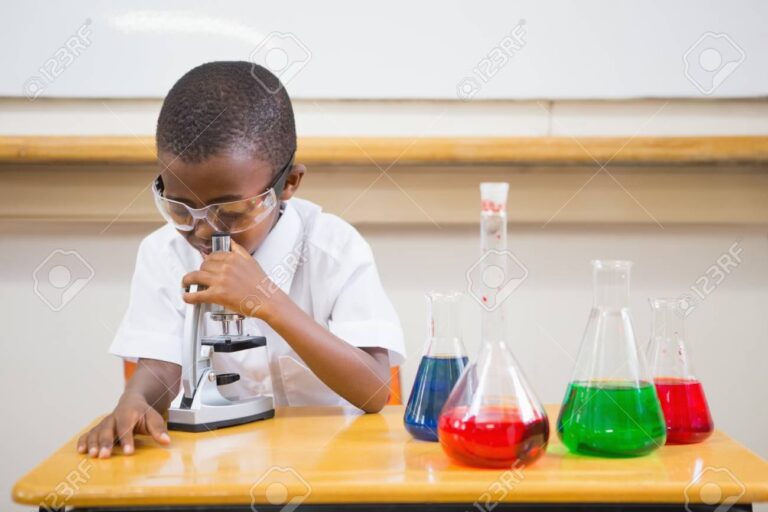 El Microscopio en la Educación Escolar | EEST1
