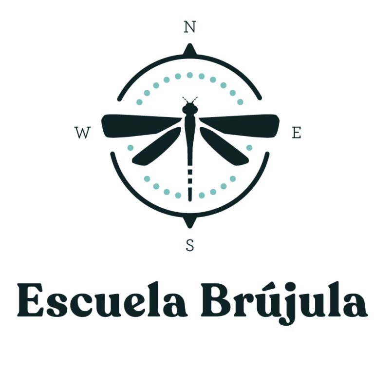 La Brújula: Historia, Estudio y Mito | EEST1